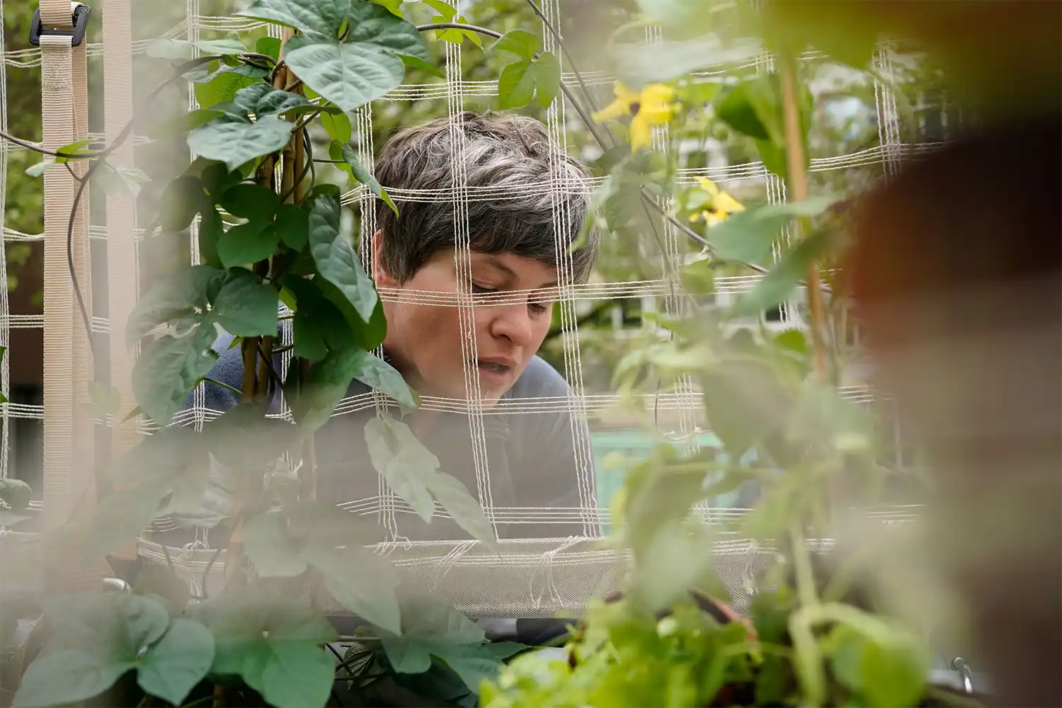 VERD° - Urbane Begrünung | IDEAT Magazin Germany